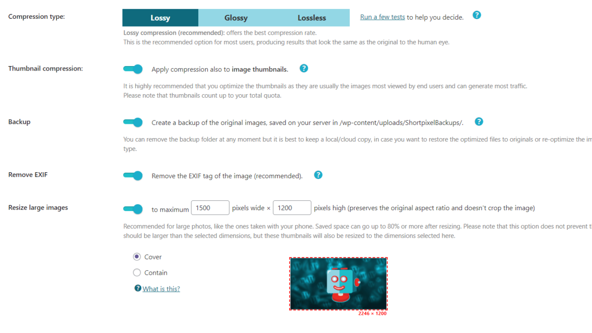 How To Achieve 100 Wordpress Loading Speed